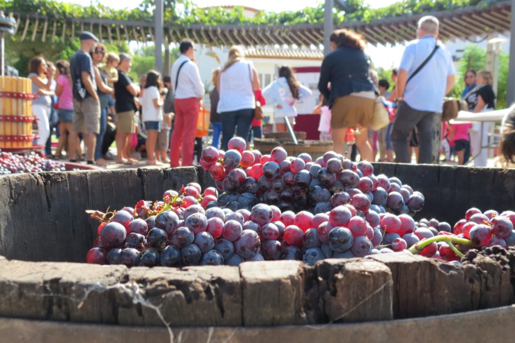 3a Jornada Enològica “DO Porcianus” a la Vil·la Romana de Pla de Palol